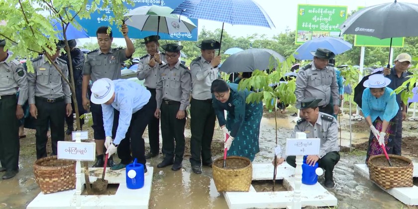 Honoring Myanmar Women’s Day: Kachin State CM joined collective tree ...