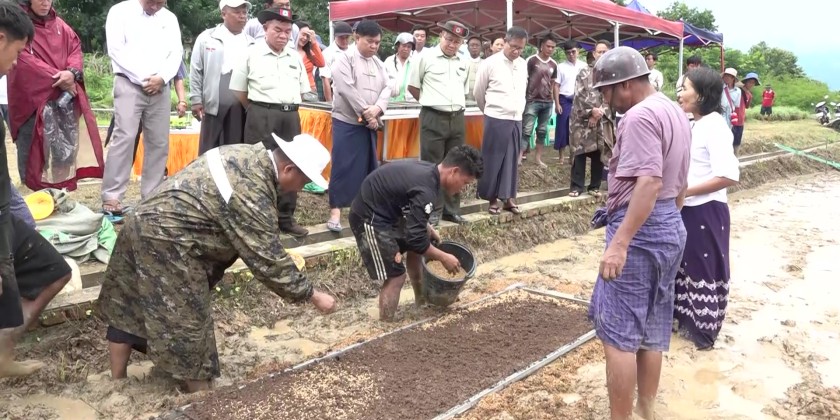 Field Demonstration : Direct paddy seed sowing demonstrated in Kengtung ...