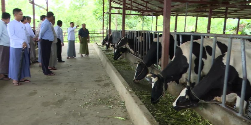 Livestock Breeding Sector: MoALI Union Minister inspected livestock ...