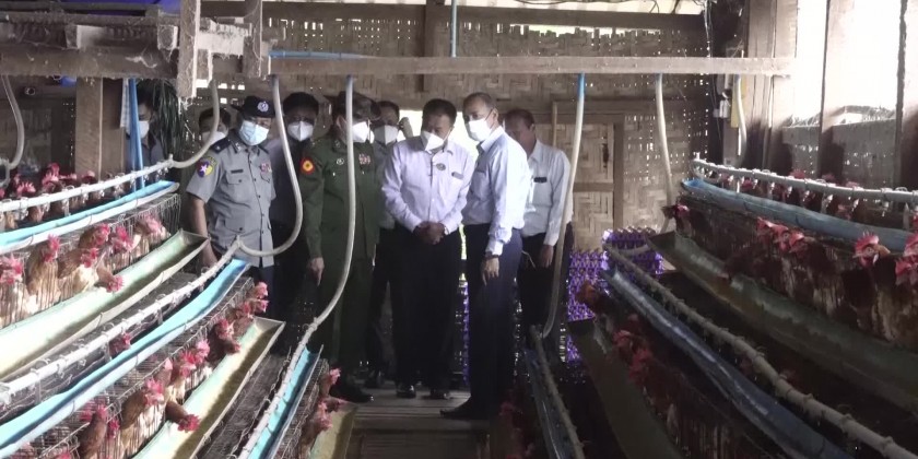 Livestock Sector: Chief Minister inspects Shan Yoma Livestock Zone 2 ...