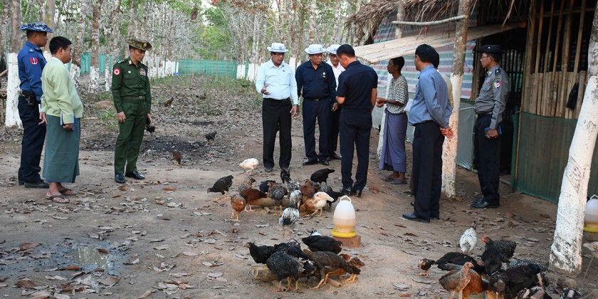 Livestock breeding zone :YGN Region CM inspected livestock breeding ...
