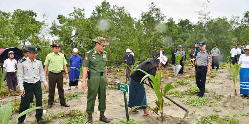 Relief and Rehabilitation Works: Monsoon tree planting and relief ...