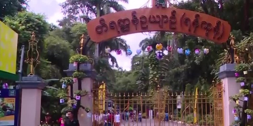 70th BD of MOMO: Well-known elephant of Yangon Zoo | Myanmar ...