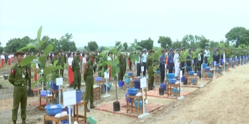 4th Monsoon Tree Planting Ceremony: SG attends the ceremony and plants ...