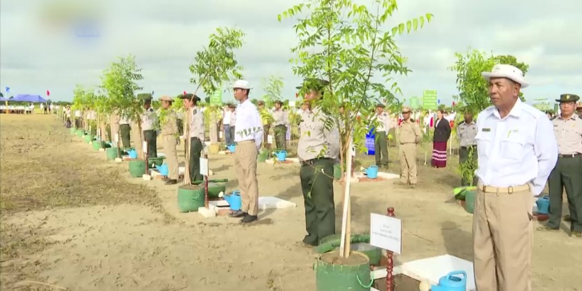 Monsoon Season Tree Planting: SSPC Chairman planted neem sapling ...