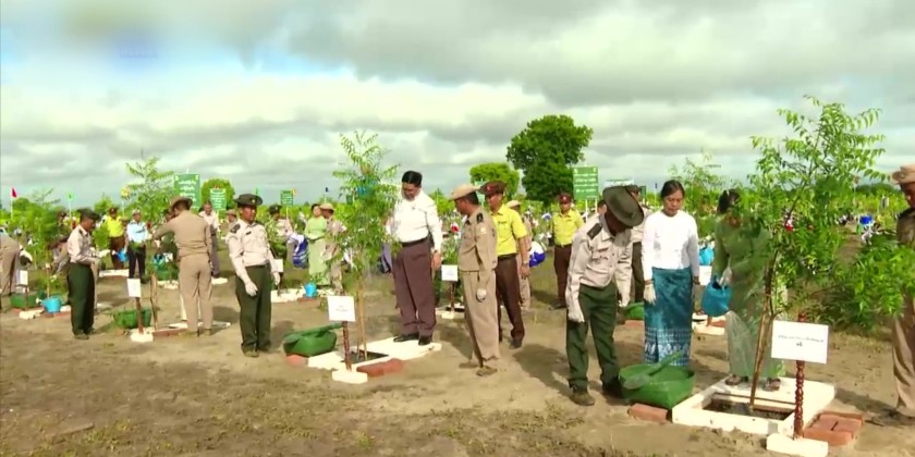 Monsoon Season Tree Planting: SSPC Chairman planted neem sapling ...