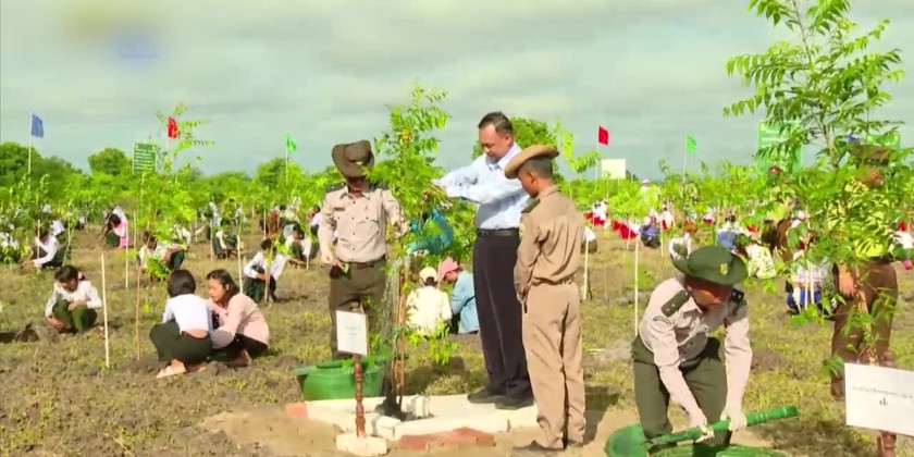 Monsoon Season Tree Planting: SSPC Chairman planted neem sapling ...