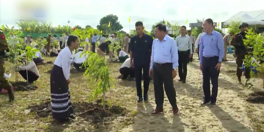 Monsoon Season Tree Planting: SSPC Chairman planted neem sapling ...