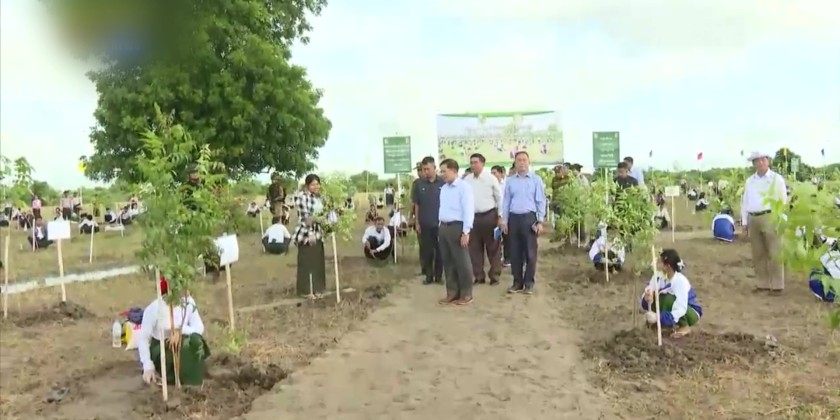 Monsoon Season Tree Planting: SSPC Chairman planted neem sapling ...