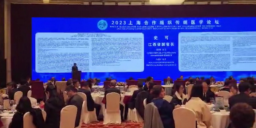 SCO Forum on Traditional Medicine: Myanmar delegation attends the SCO ...