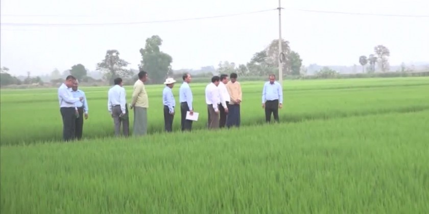 Inspection tour: MoALI DM inspected regional development works ...