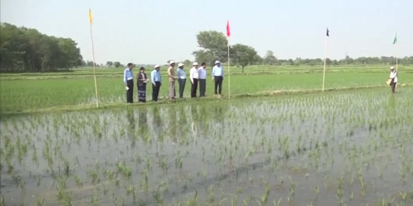 Inspection tour: MoALI DM inspected regional development works ...