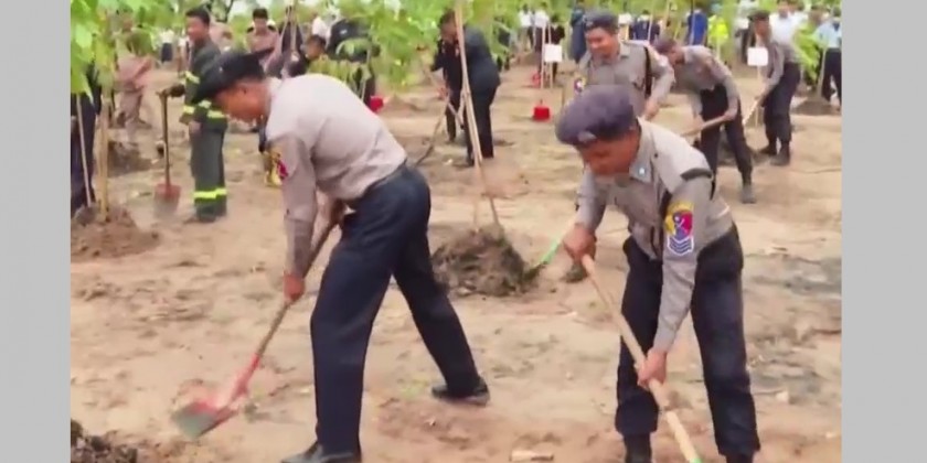 Monsoon tree planting :Ceremony held at Hlawga National Park in Yangon ...