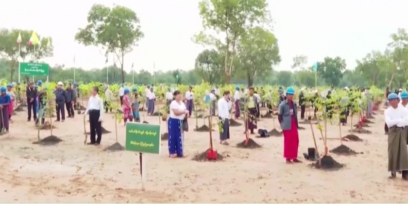 Monsoon tree planting :Ceremony held at Hlawga National Park in Yangon ...