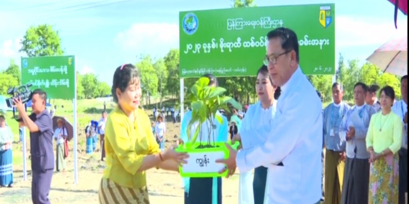 Monsoon Activities :MoI holds tree-planting and fingerling-releasing ...