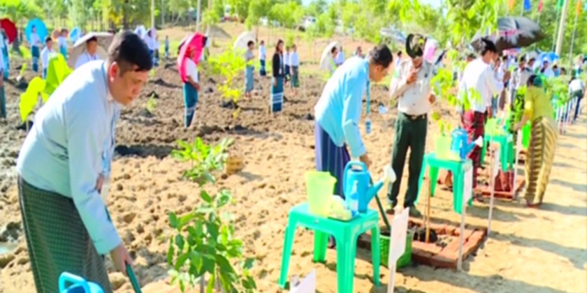 Monsoon Activities :MoI holds tree-planting and fingerling-releasing ...