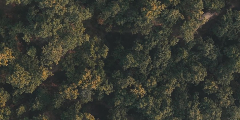 In Nepal, a women’s community forest user group is transforming forest ...