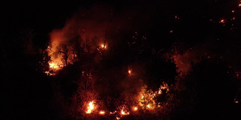 In Nepal, a women’s community forest user group is transforming forest ...