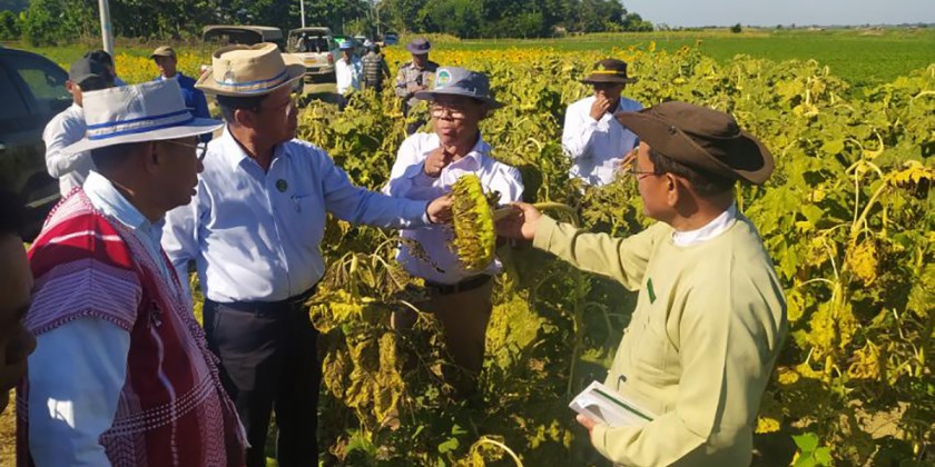 New Harvest Festival: SAC Member attends event of Asho Chin people ...