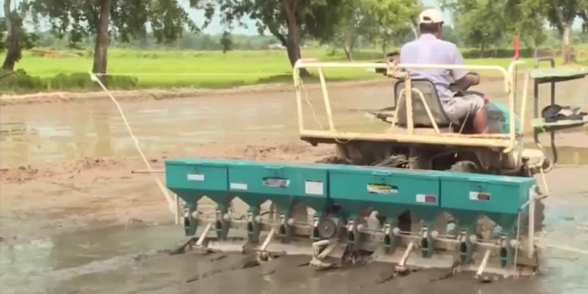 Agriculture Sector: Paddy Transplanter and Seeder Demonstration ...