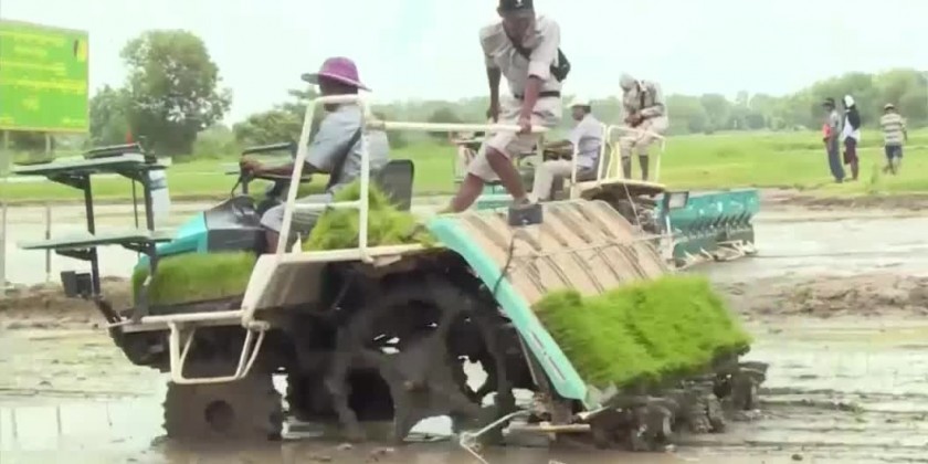 Agriculture Sector: Paddy Transplanter and Seeder Demonstration ...