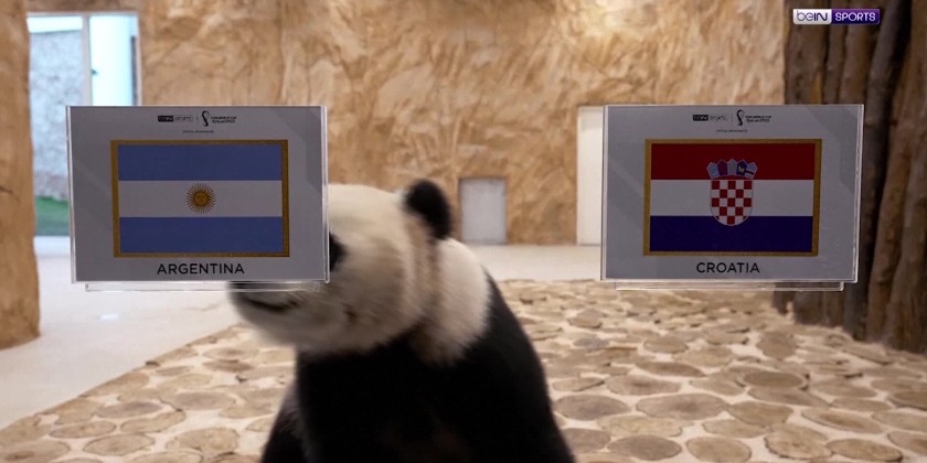 Panda predicts Argentina to win semi-final against Croatia | Myanmar ...