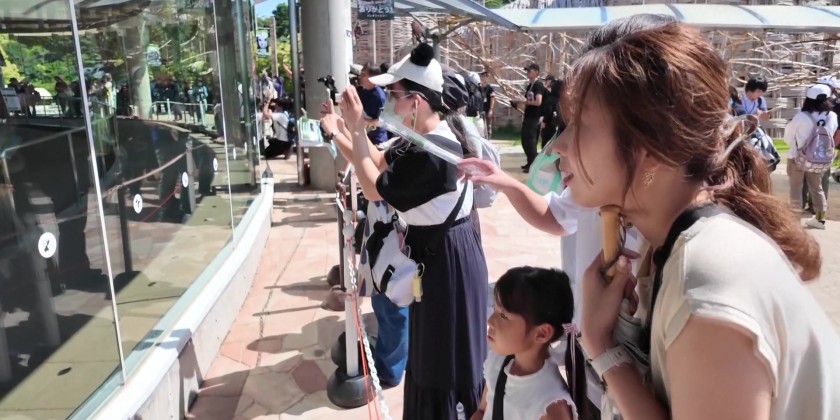 Four giant pandas return from Japan to China | Myanmar International TV