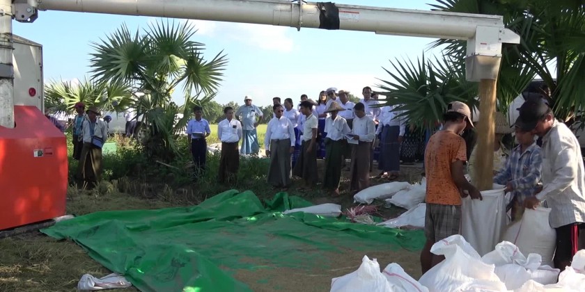 Rural Development: Paddy harvesting, poultry farming and rice mill ...