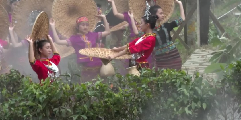 Rainforest Experience Event and Performance Held in Hainan | Myanmar ...