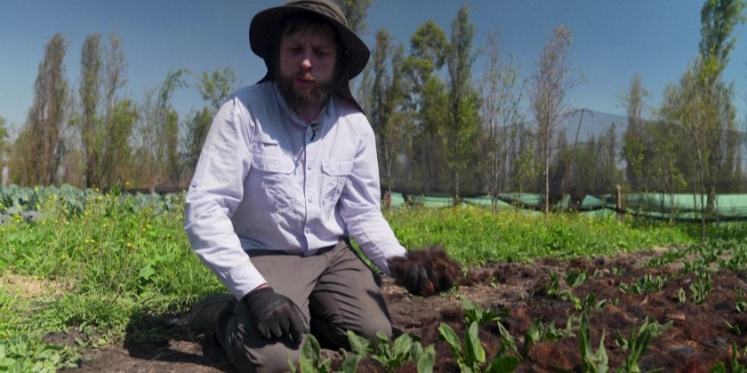 NGO uses recycled hair to help restore Mexico City's agricultural ...
