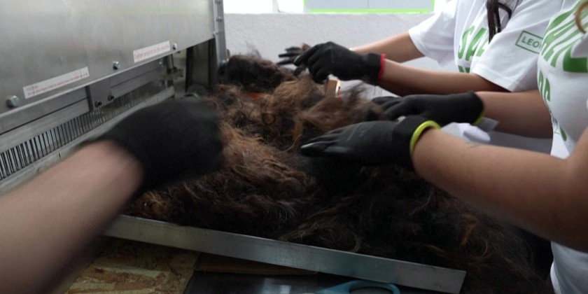 NGO uses recycled hair to help restore Mexico City's agricultural ...