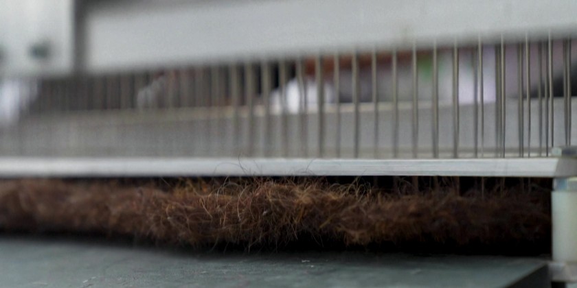 NGO uses recycled hair to help restore Mexico City's agricultural ...