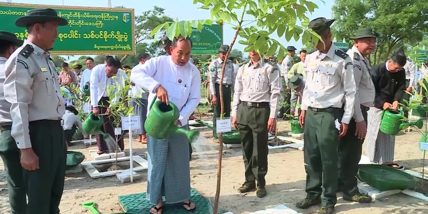 Monsoon Season trees planning: Sagaing Region CM attended the ceremony ...