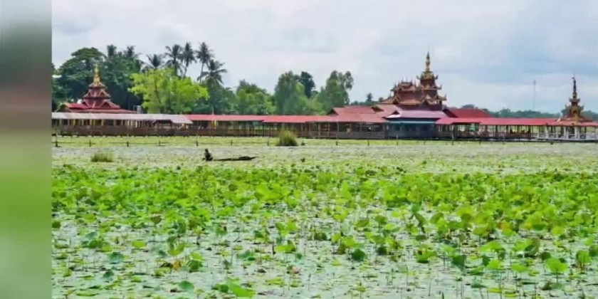 Lotus Fiber Production: Creating job opportunities for locals in Salin ...