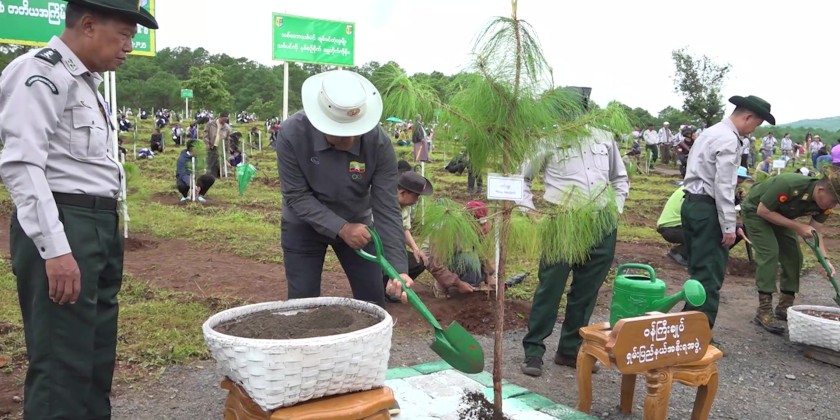 Tree Planting in Taunggyi: Shan State CM joined the tree planting event ...