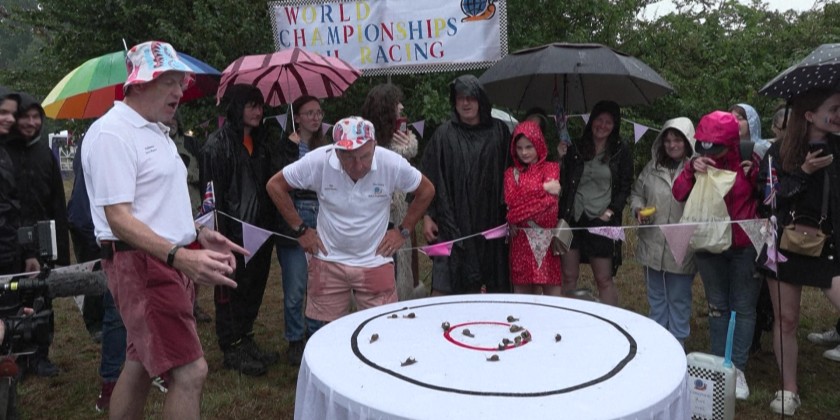 Ready. Steady. Slow: UK village hosts World Snail Racing Championships ...