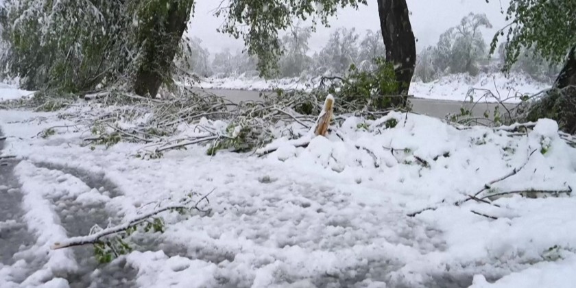Spring snow storm wreaks deadly havoc in the Alps | Myanmar ...