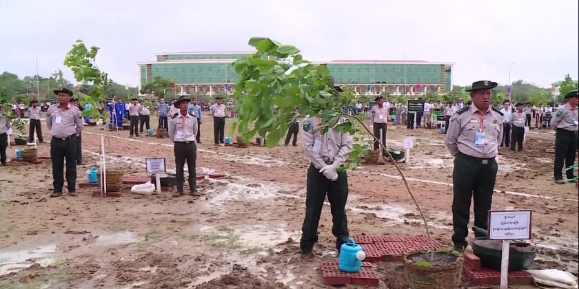 Tree planting ceremony: SAC Chairman planted starflower sapling ...