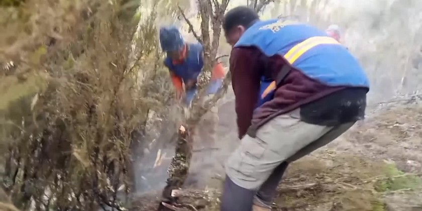 Firefighters battle Mount Kilimanjaro fire | Myanmar International TV