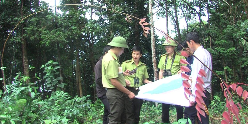 Technology for forest rangers in Viet Nam | Myanmar International TV