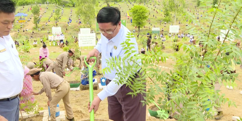 Tree Planting Event: Effort to green 13 districts of dry zone ...