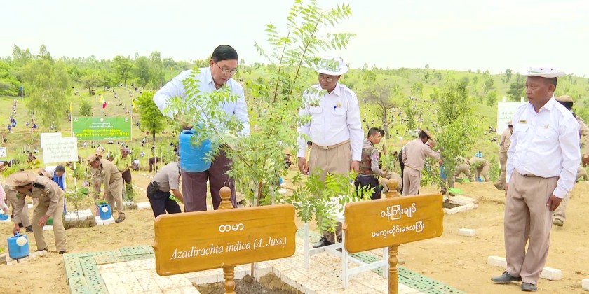 Tree Planting Event: Effort to green 13 districts of dry zone ...