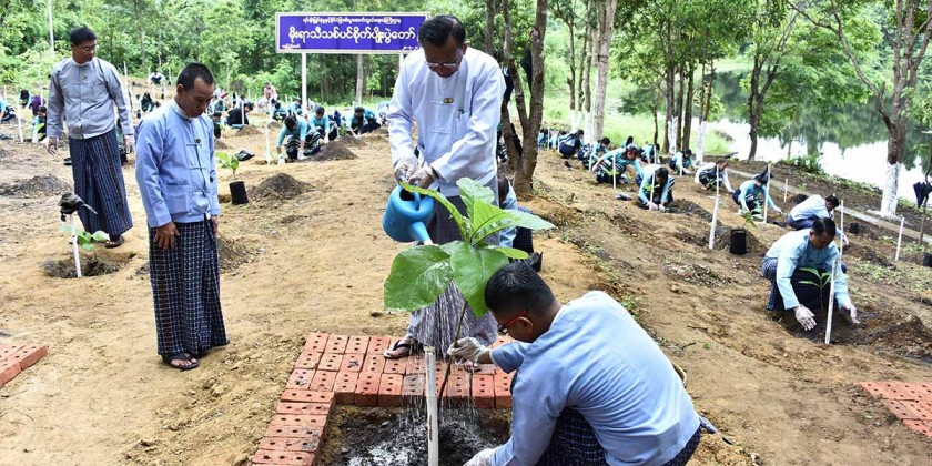 Tree planting and fish releasing: MIFER planted trees and releasing ...