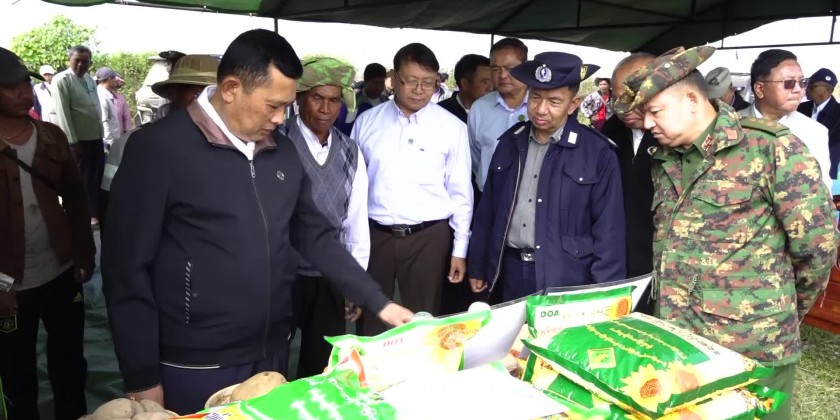 Agriculture Development: Monsoon paddy model plantations harvested in ...