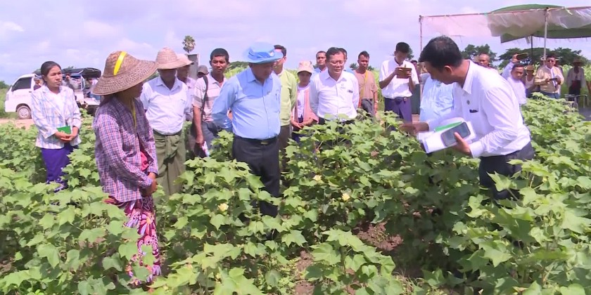 Agriculture and Irrigation: Thriving plantations and irrigation ...