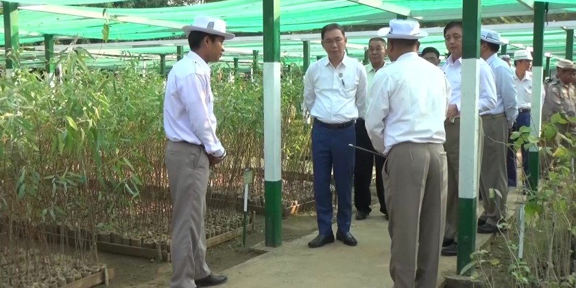 Environmental Conservation :Efforts for forest conservation in Magwe ...