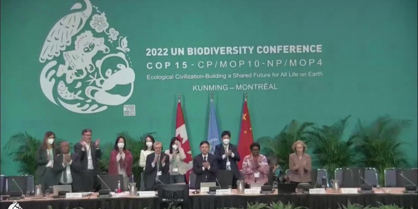 Historic deal at UN biodiversity conference | Myanmar International TV