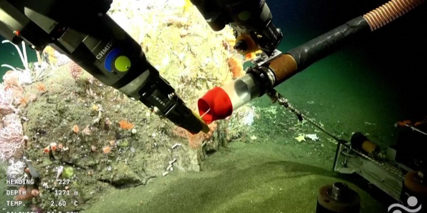 Underwater robot live stream captivates Argentines | Myanmar ...