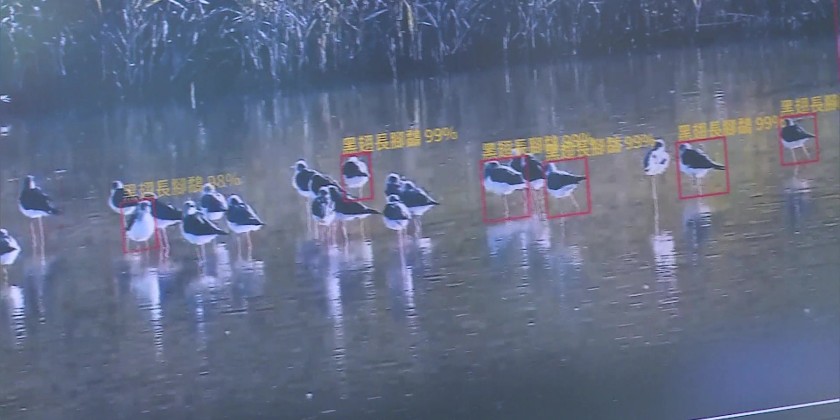 AI and robots used to gather environmental data | Myanmar International TV