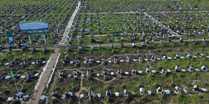 4th Monsoon Season Tree Planting: Yangon Region CM joined the tree ...